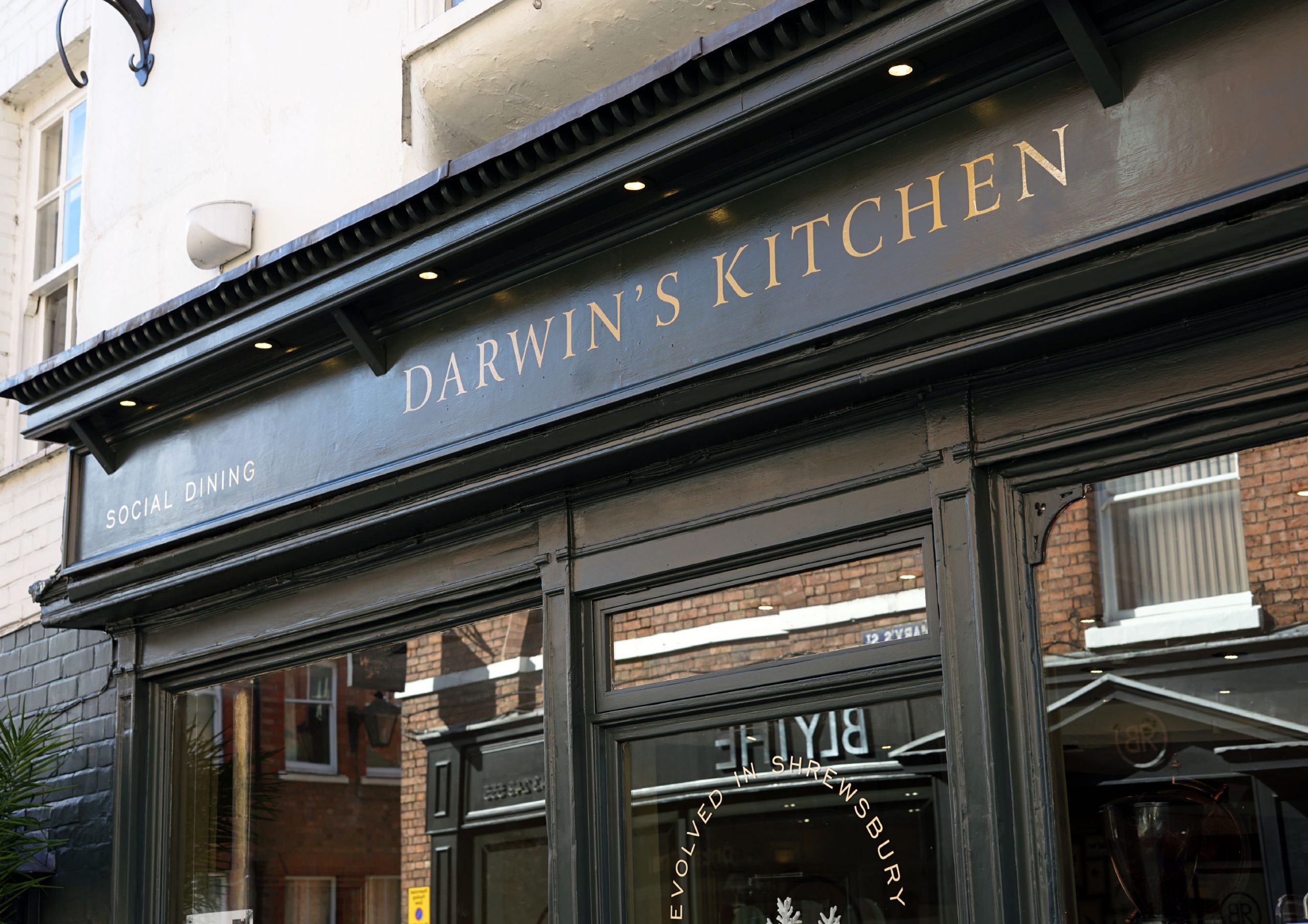 Darwin's Kitchen | Branding, Signage, Graphics & Social Media