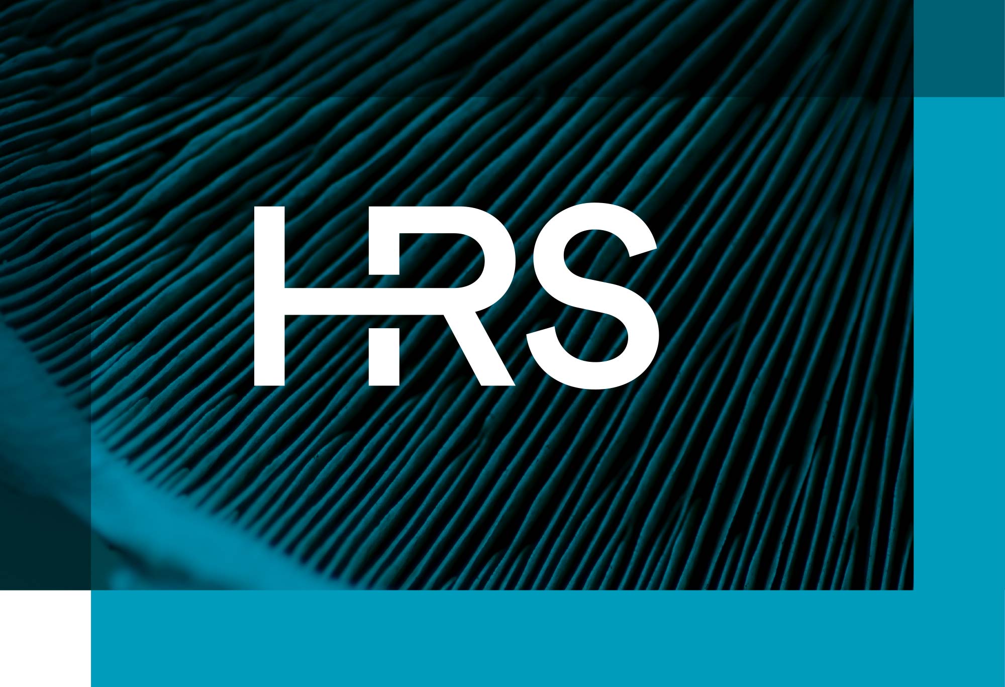 HRS Communications | Branding & Marketing By Source